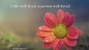 150 Short Tribute Messages To Express Gratitude - LoverJournal