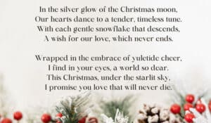 20 Christmas Love Poems For Your Partner - LoverJournal