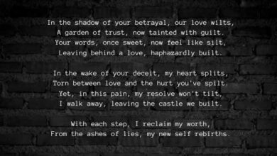 50 Emotional Breaking Up Poems For Him - LoverJournal