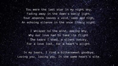 50 Emotional Breaking Up Poems For Him - LoverJournal