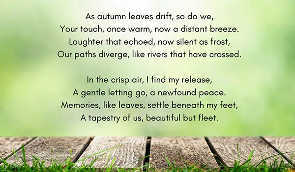 50 Emotional Breaking Up Poems For Him - LoverJournal