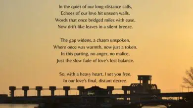 50 Emotional Breaking Up Poems For Him - LoverJournal