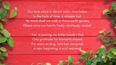 50 Emotional Breaking Up Poems For Him - LoverJournal