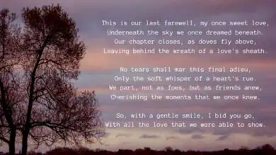 50 Emotional Breaking Up Poems For Him - LoverJournal