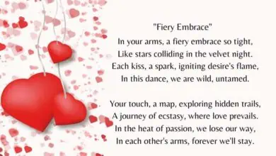 30 Popular Erotic Poems For Him - LoverJournal