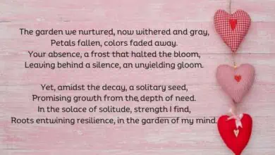 50 Broken Heart Poems To Heal Your Mind - Lover Journal