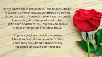 30 Deep Love Poems You Will Love - LoverJournal