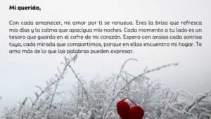 30 Spanish Love Letters (Cartas de amor en español) - LoverJournal